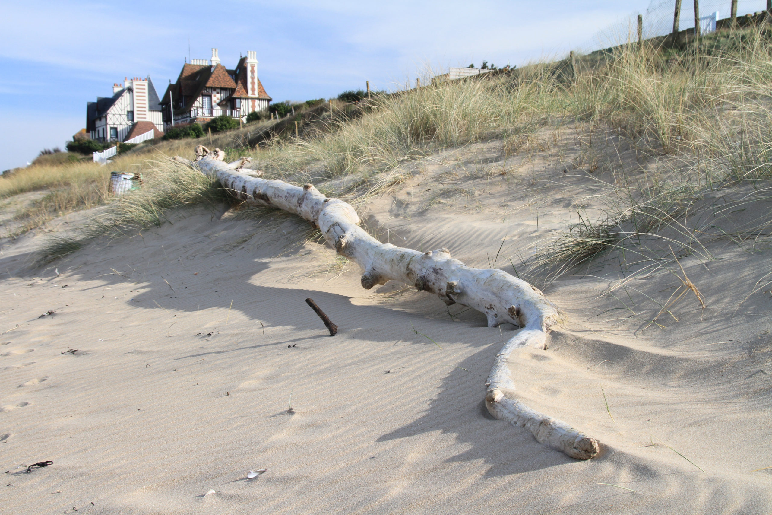 Le patrimoine - Mairie de Varaville
